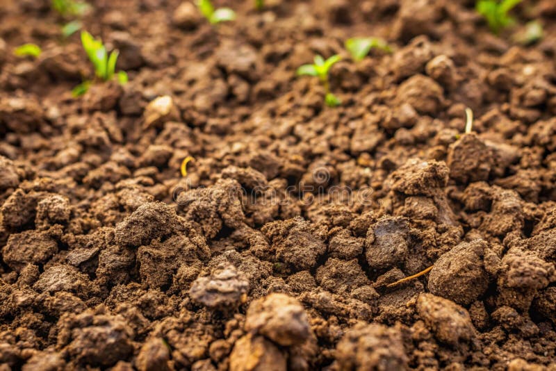 Soil or Dirt Texture High Resolution Stock Illustration - Illustration ...