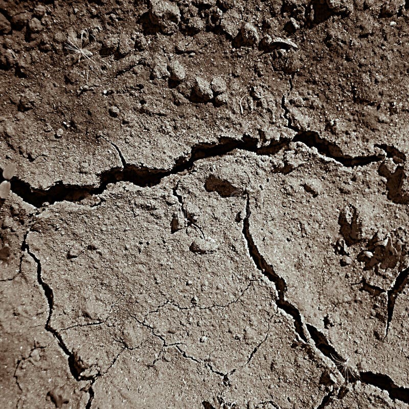 Soil Dirt Texture Some Fine Grain Stock Photos - Free & Royalty-Free ...