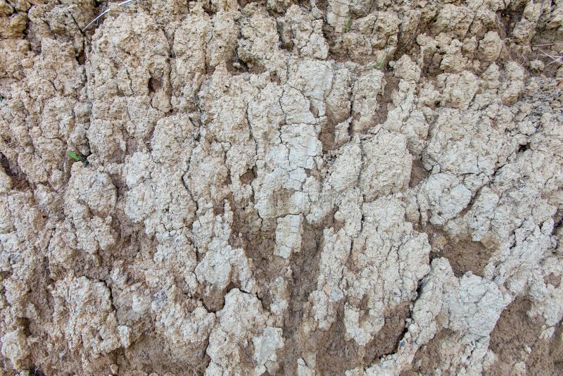 Soil Dirt Texture with Some Fine Grain in it Stock Image - Image of ...