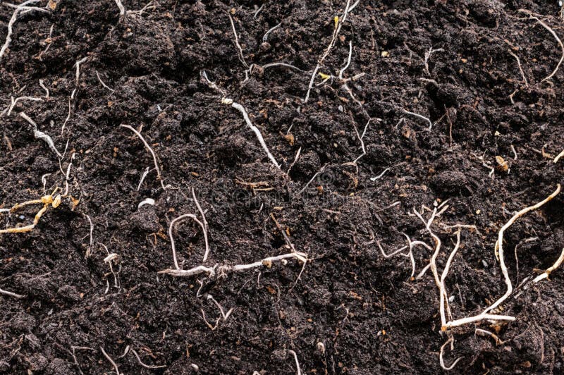 Soil with Dirt. Top View of Ground Stock Image - Image of environment ...