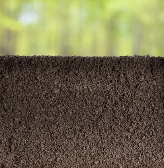 Soil or Dirt Underground Section in Garden or Forest Stock Image ...