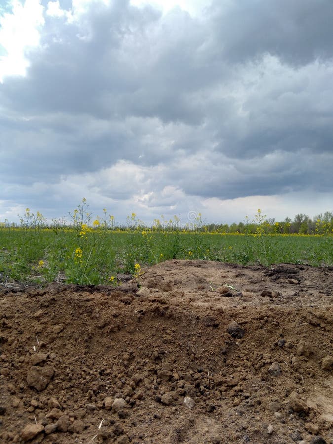 Disturbed Ground. Soil Texture Stock Image - Image of destruction ...