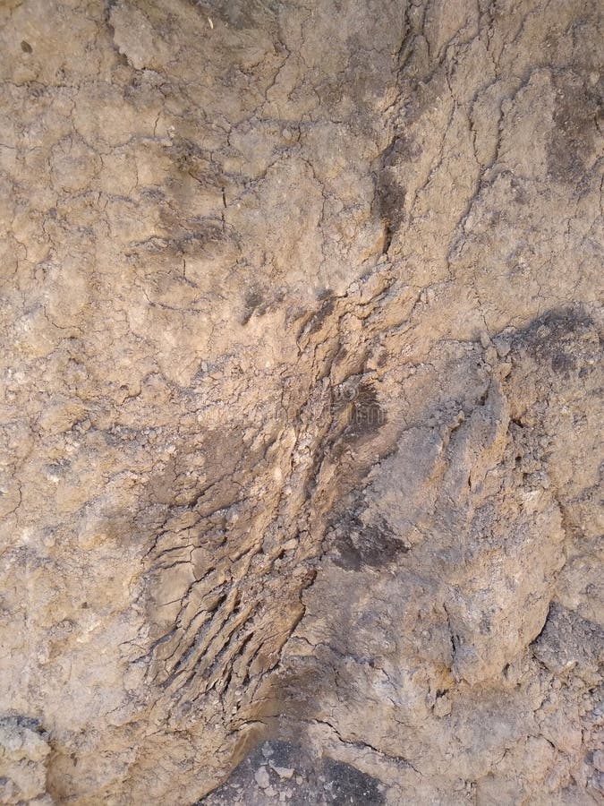 Disturbed Ground. Soil Texture Stock Photo - Image of natural ...