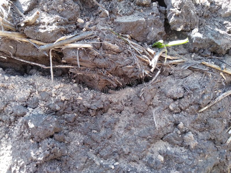 Disturbed Ground. Soil Texture Stock Image - Image of textured, clay ...