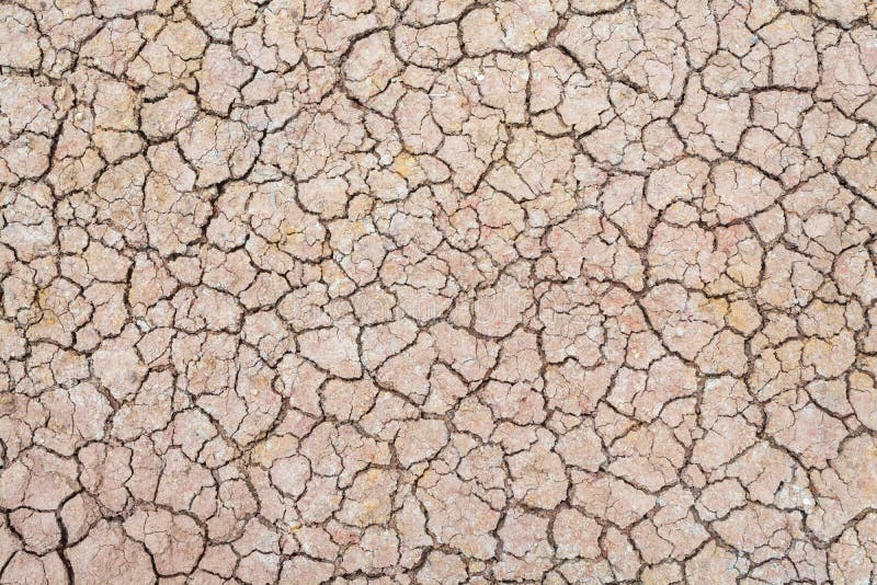 Soil Drought Cracks Texture White Background for Design Stock Image ...
