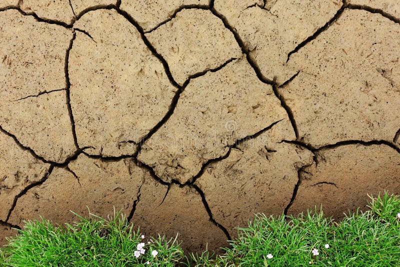 Soil, Drought, Grass, Rock stock image. Image of rock - 135806767