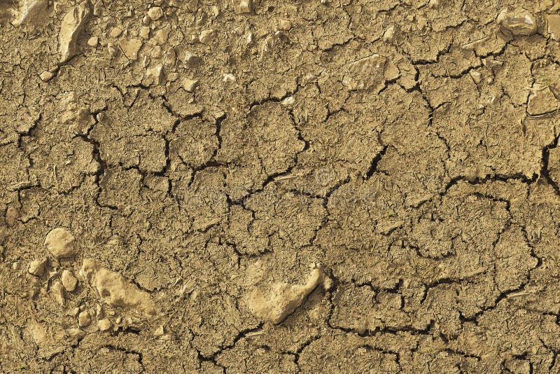 Soil, Drought, Tree, Geology Picture. Image: 136625166