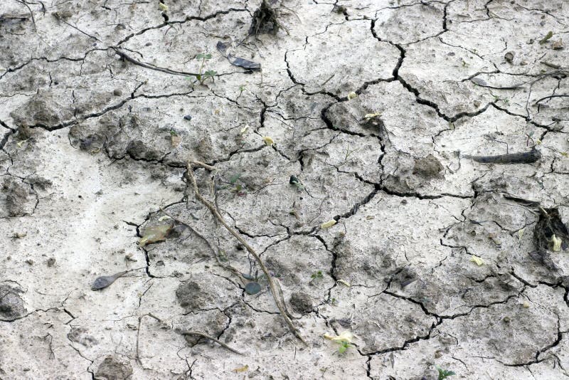 Soil erosion stock photo. Image of crack, barren, disaster - 41420332