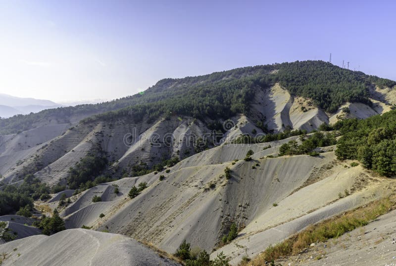 Soil Erosion at Edge of Forest Stock Image - Image of protect ...