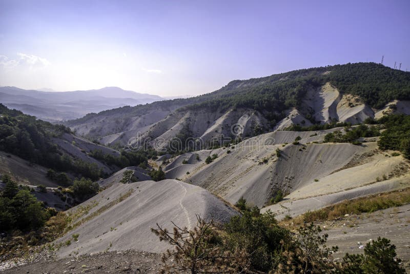 Soil Erosion at Edge of Forest Stock Photo - Image of erosion, decline ...