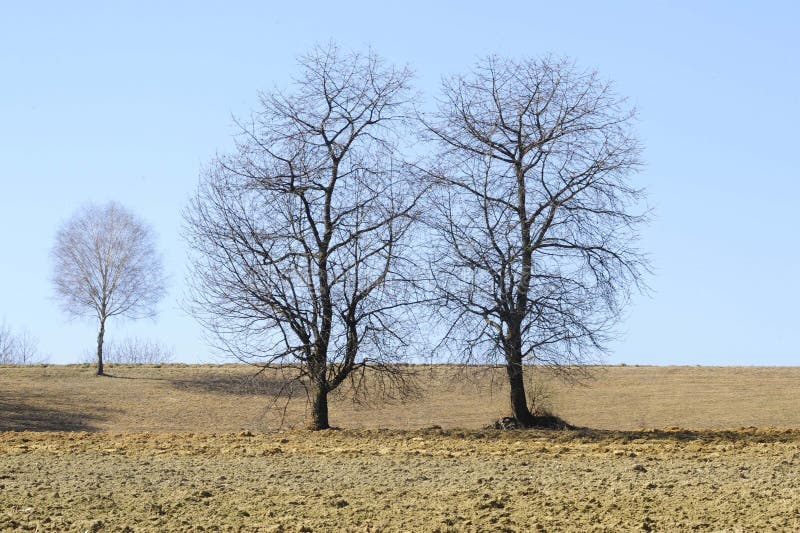 Soil Erosion and Landslide after Heavy Rainfalls Stock Image - Image of ...