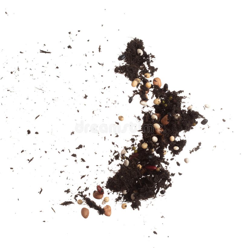 Soil Dirt Soy Bean Mix Flying Explosion, Soybean Soil Fertilizer ...
