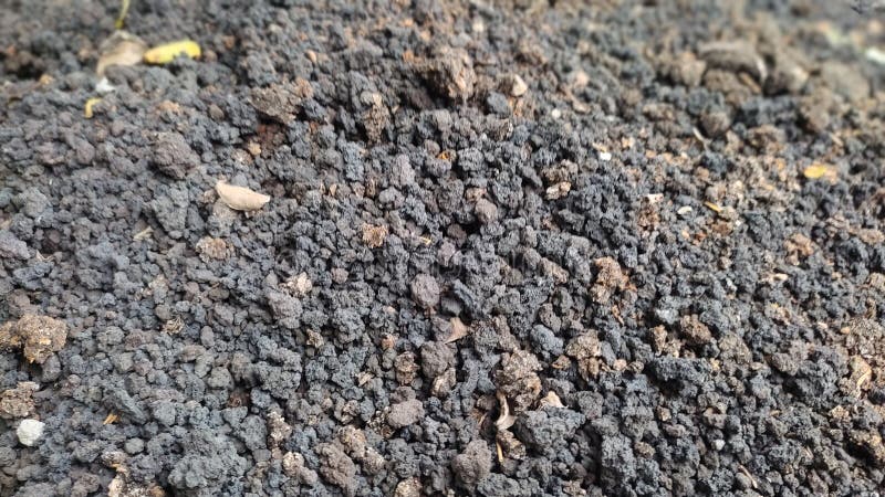 Soil with Fertilizer in a Pot for Flower Plants Stock Image - Image of ...