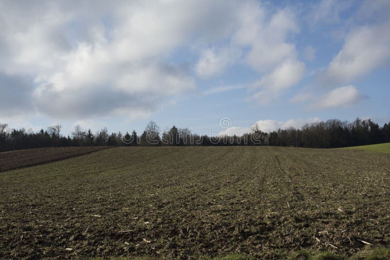 Soil on a Field in Agriculture Stock Image - Image of vegetation ...