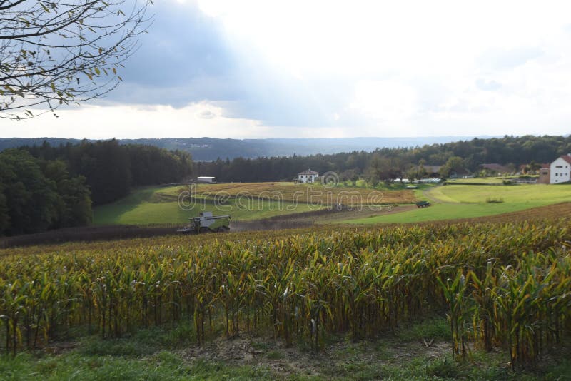Soil on a Field in Agriculture Stock Image - Image of crop ...