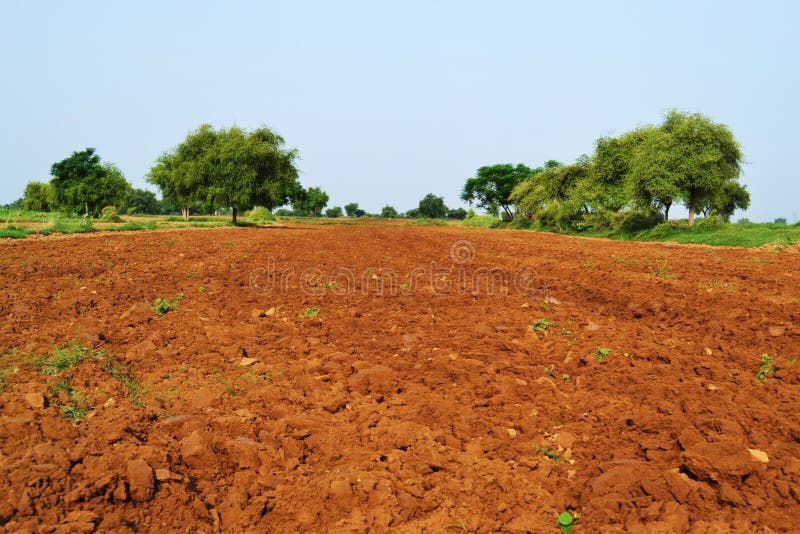 Soil Field stock image. Image of home, soil, shell, leaf - 84148973