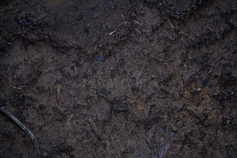 Soil Flood Texture Grunge Background Stock Photo - Image of plant ...