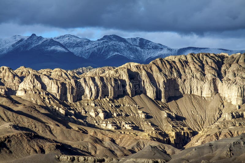 Soil Forest in Tibet Plateau Stock Photo - Image of nature, soil: 57433806
