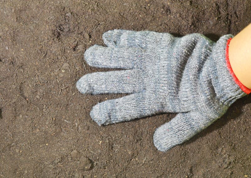 Soil and garden tool stock photo. Image of plant, planting - 58650366