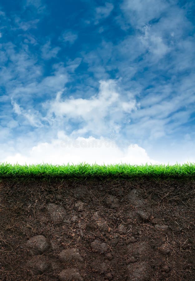 Soil with Grass in Blue Sky Stock Illustration - Illustration of loose ...