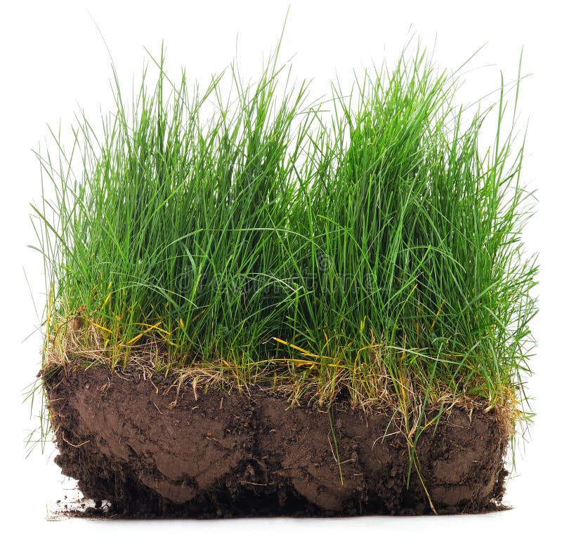 Soil with grass stock image. Image of background, isolated - 272691691
