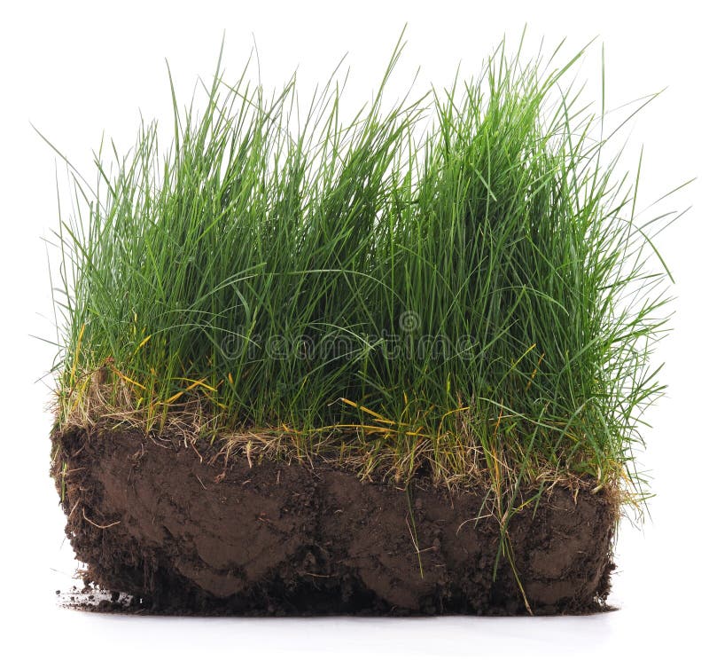 Soil with grass. stock image. Image of natural, design - 123632829