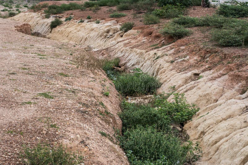 1,595 Groove Soil Stock Photos - Free & Royalty-Free Stock Photos from ...