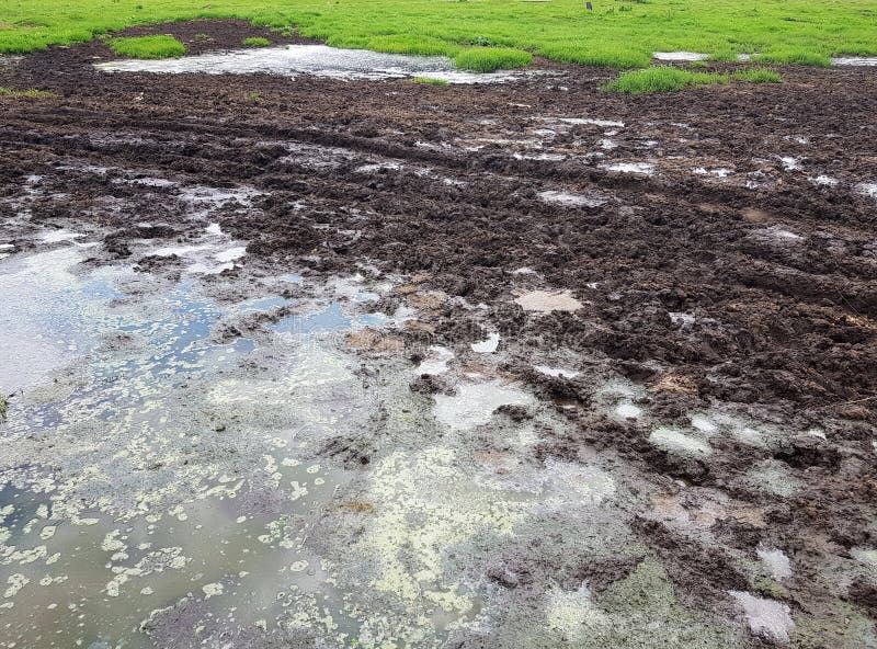 Soil, Ground, Organic Gardening, Agriculture. Environmental Texture ...