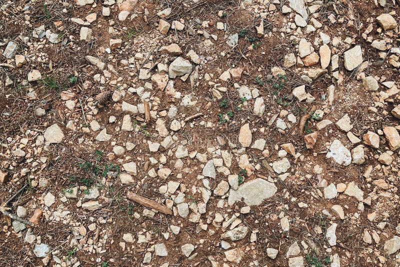 Soil Ground and Rocks Background in the Forest . Abstract Natural ...
