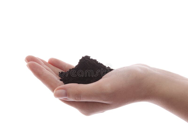 Soil in hand stock image. Image of hold, gardening, farm - 27452923