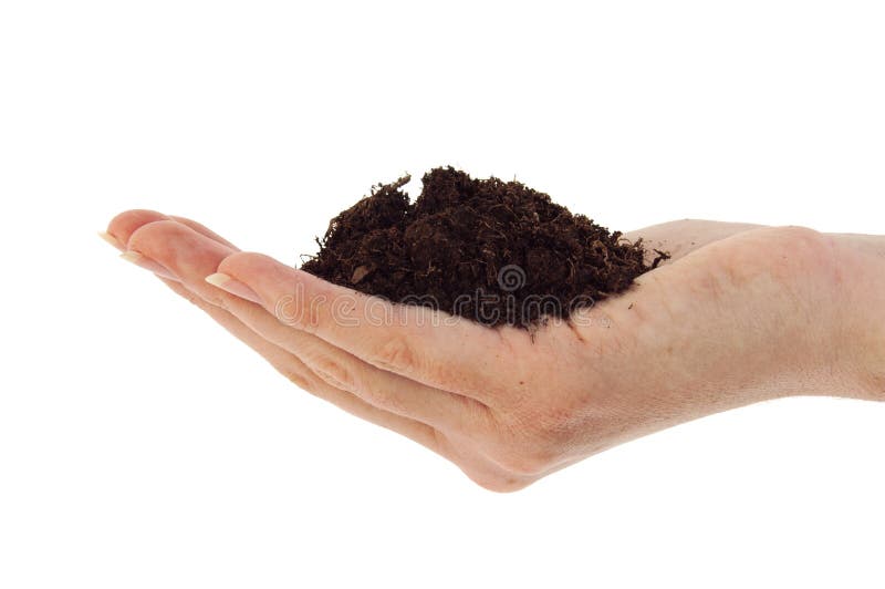 Soil in Hand stock image. Image of protection, growth - 6961715