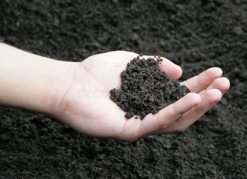 Soil in hand stock image. Image of clouds, agriculture - 5809873
