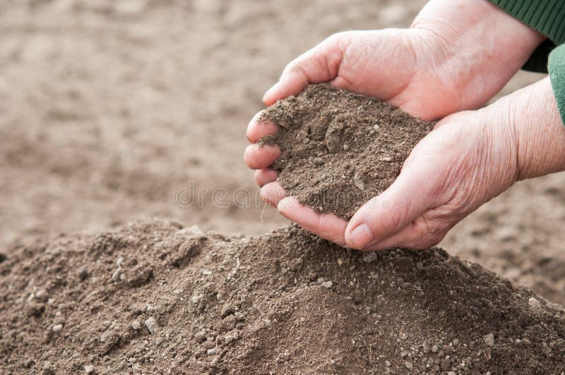 Soil in hands stock photo. Image of grained, heap, extreme - 25974072