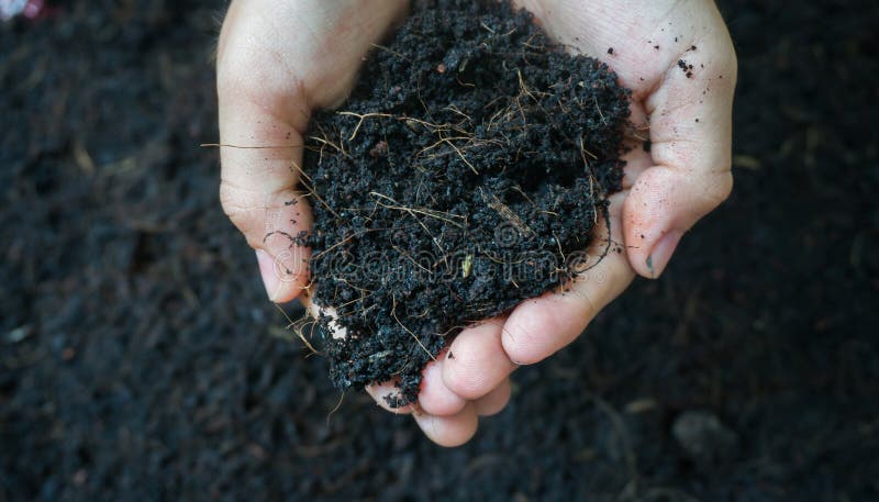 Soil in hand. stock photo. Image of life, concept, earth - 76293070