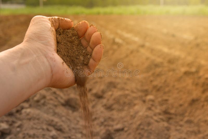 85,765 Hand Dirt Stock Photos - Free & Royalty-Free Stock Photos from ...