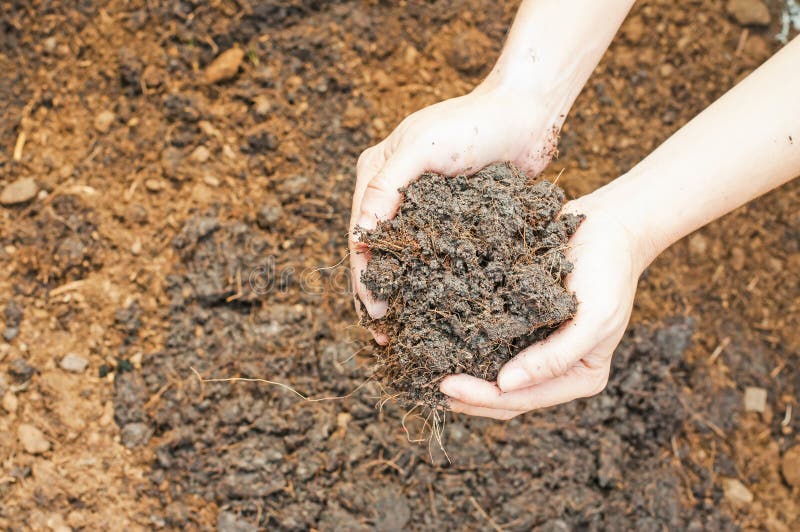 Marine pollution stock photo. Image of accident, organism - 25121026