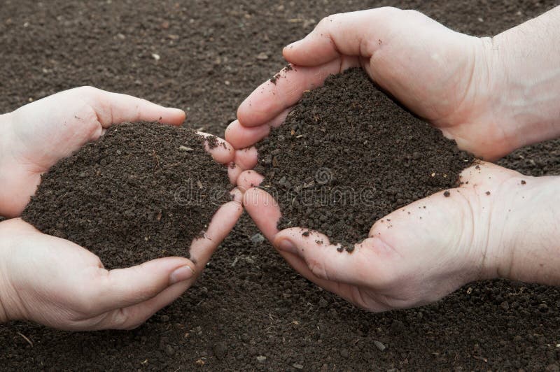 Soil in hands stock photo. Image of grained, heap, extreme - 25974072
