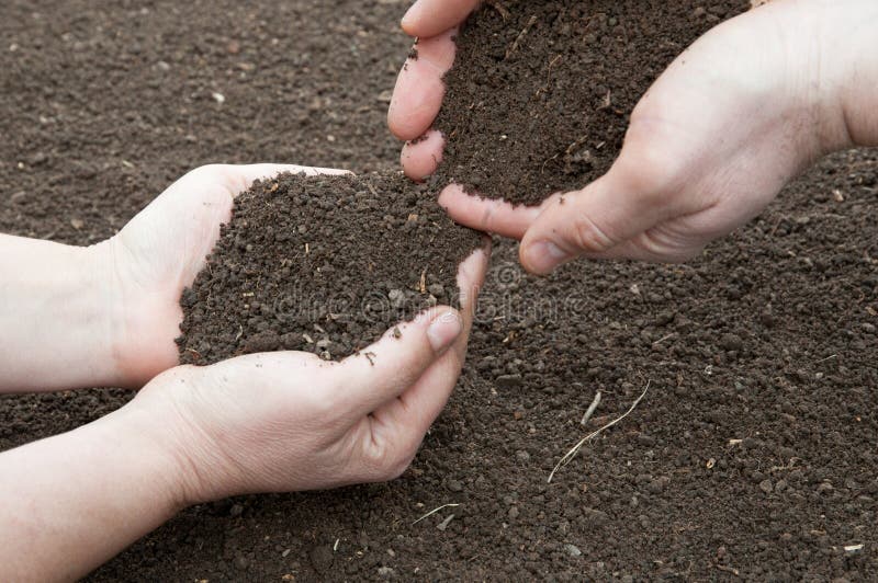 Soil in hands stock photo. Image of grained, heap, extreme - 25974072