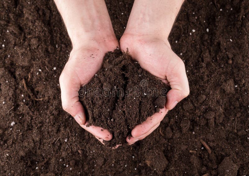 Soil in hands stock photo. Image of life, compost, field - 71625318