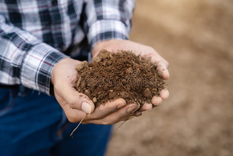 Soil in the Hands of Farmers. Concept of Agriculture Stock Image ...