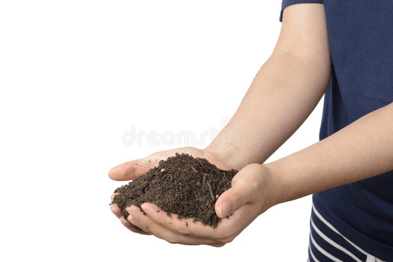 Soil on hands stock photo. Image of hands, dirt, seedling - 42358214