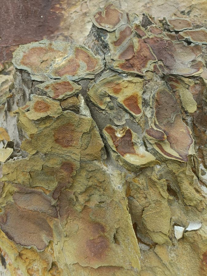 Soil that Has Become Stone and Creates Beautiful Colors Stock Photo ...