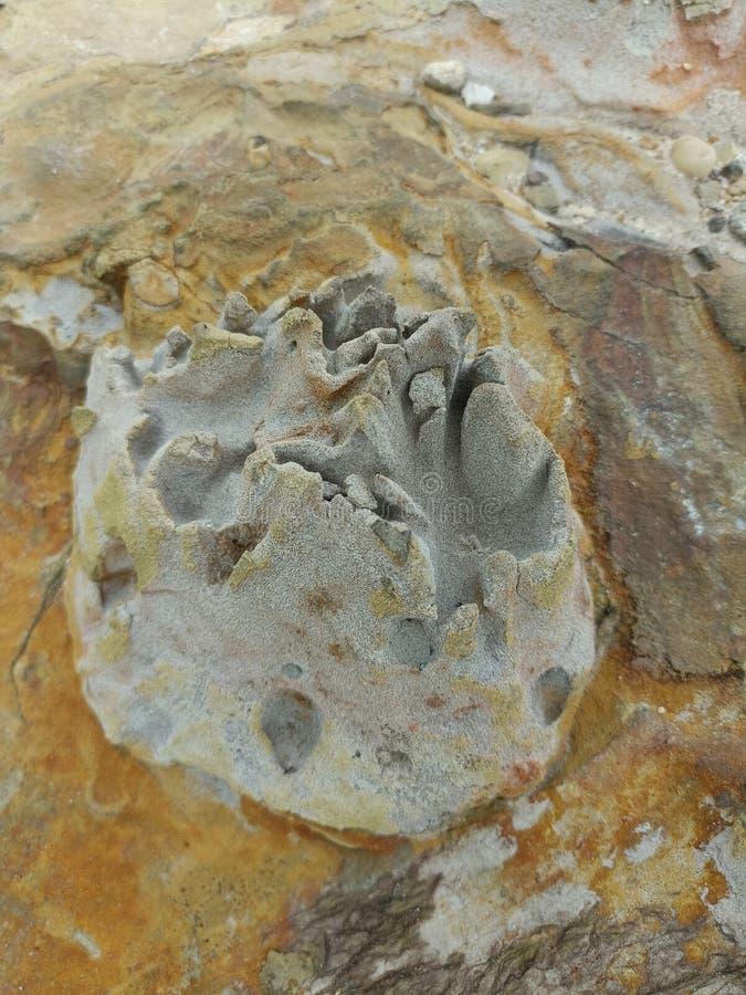 Soil that Has Become Stone and Creates Beautiful Colors Stock Photo ...