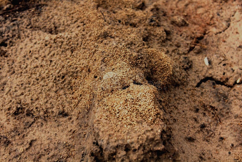 Sand Nground Stock Photos - Free & Royalty-Free Stock Photos from ...