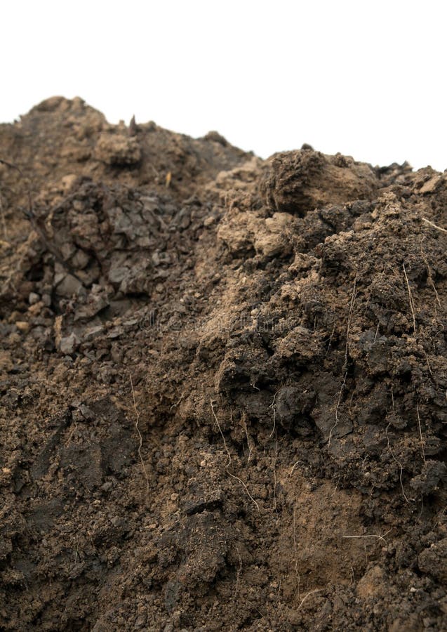 Soil stock photo. Image of humus, dirt, dust, agriculture - 17957056