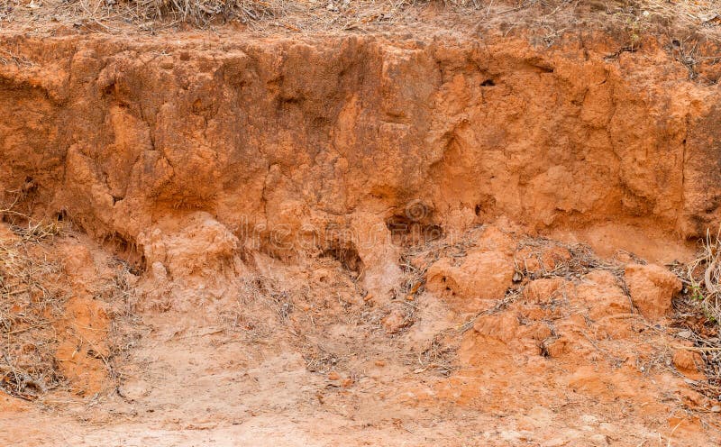 10+ Empty soil layer Free Stock Photos - StockFreeImages