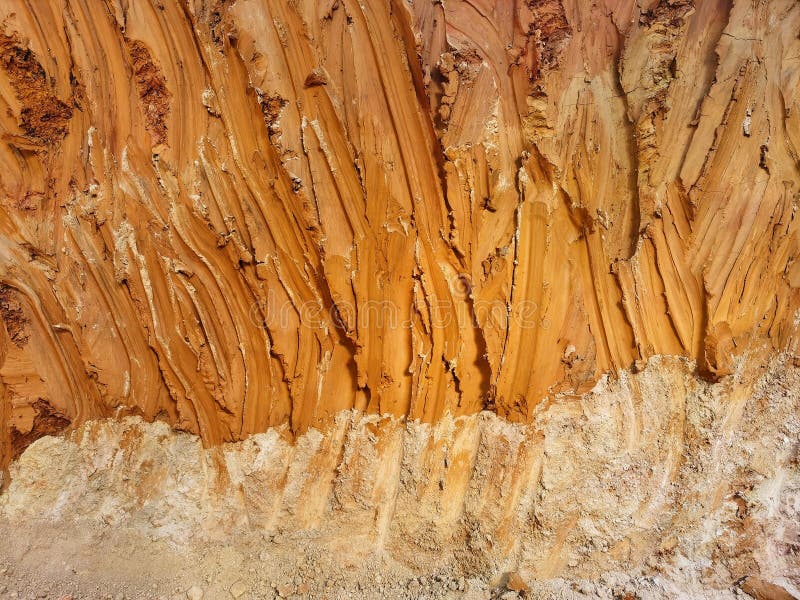 Soil layer texture stock image. Image of plants, orange - 274477261