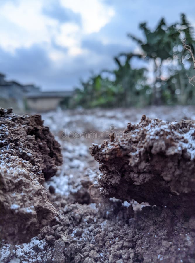 Soil is the Layer of the Earth that is Visible and is always Stepped on ...