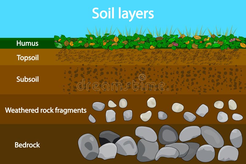 Soil Layers. Diagram for Layer of Soil. Soil Layer Scheme. Stock Vector ... Soil Layers. Diagram for Layer of Soil. Soil Layer Scheme. Stock Vector ...