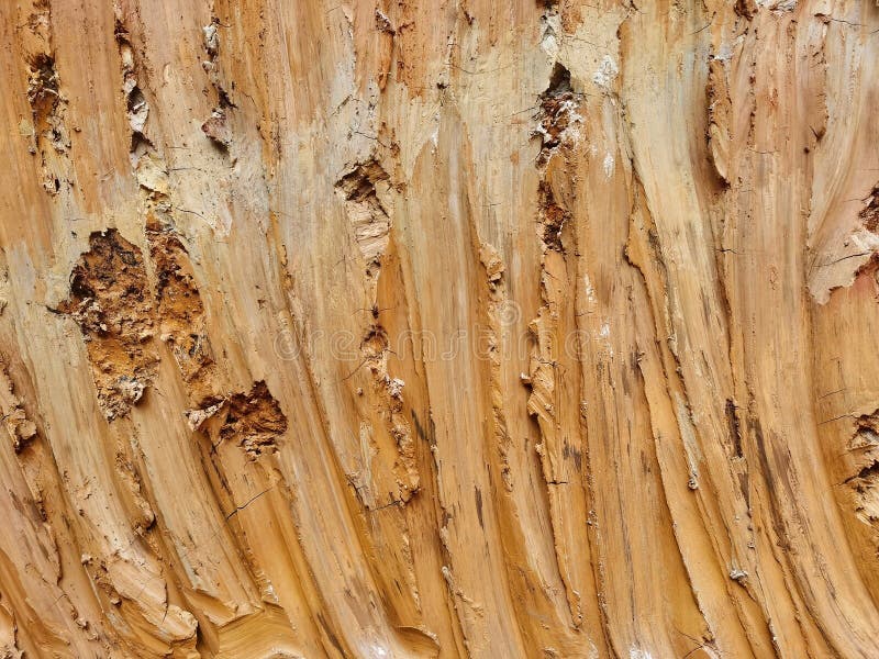 Soil layer texture stock photo. Image of texture, backdrop - 274477242